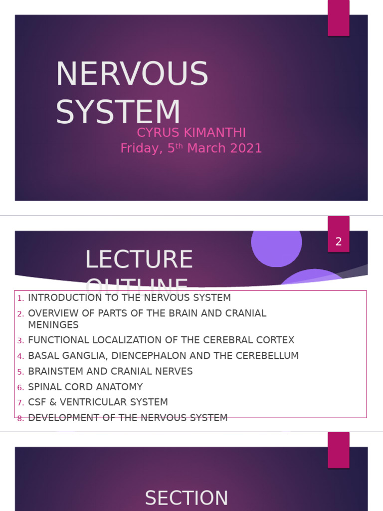 Anatomy of The Nervous System | PDF | Cerebrospinal Fluid | Central ...