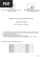 Entraînement DNB Blanc 2025 | PDF | Mathématiques élémentaires | Mathématiques