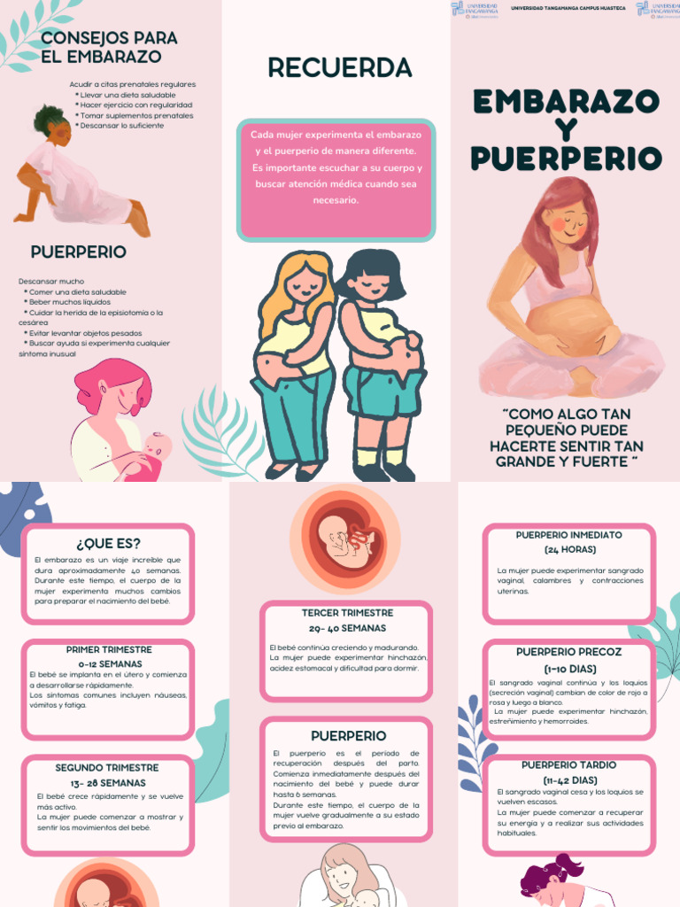 Tríptico Embarazo | PDF | El embarazo | Periodo posparto