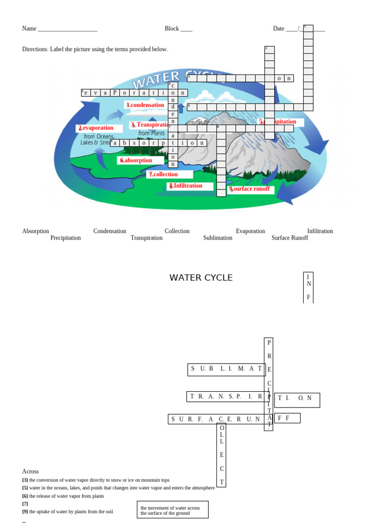 Cycles of Matter Project Worksheet | PDF | Water Vapor | Nature