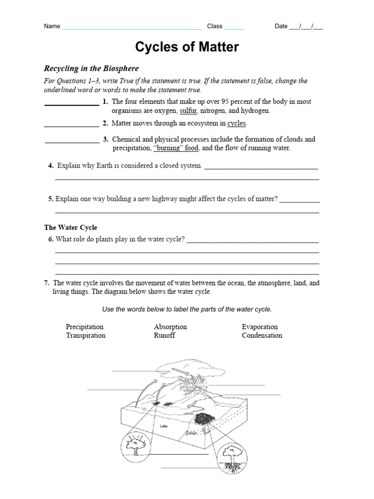 Cycles of Matter Worksheet | PDF | Soil | Water Cycle