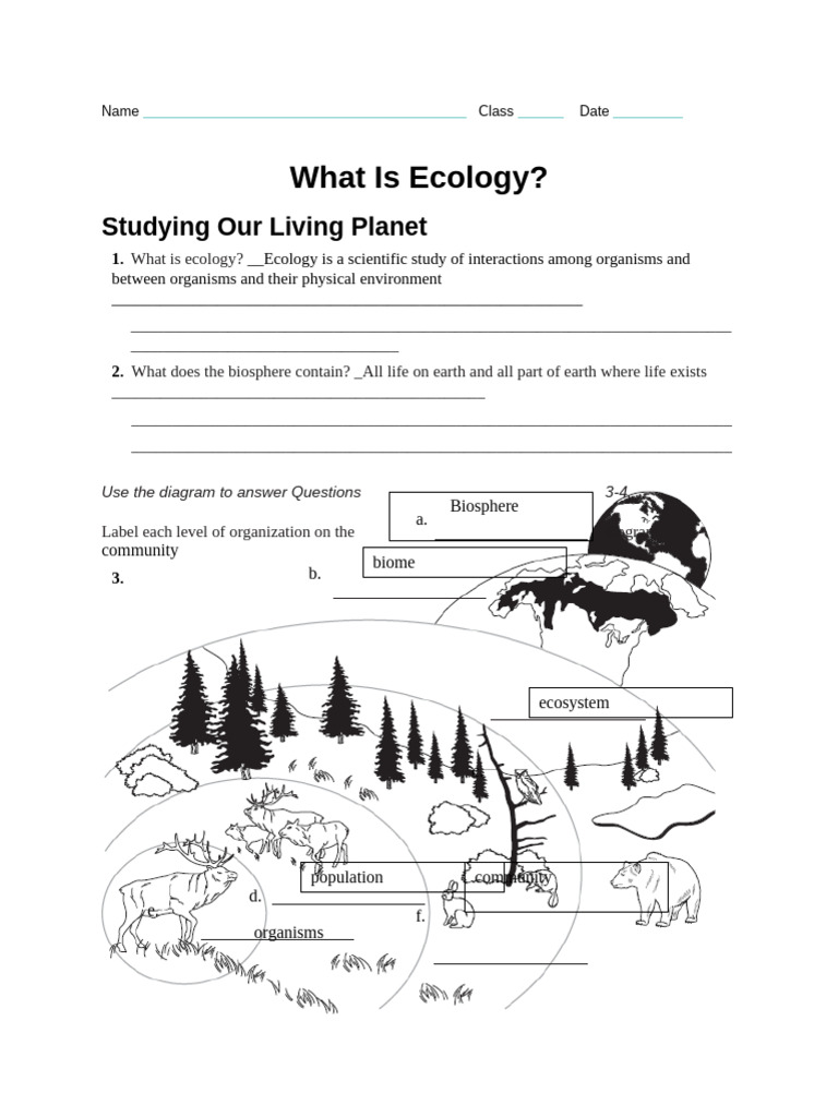 What is Ecology Worksheet | PDF | Ecology | Ecosystem