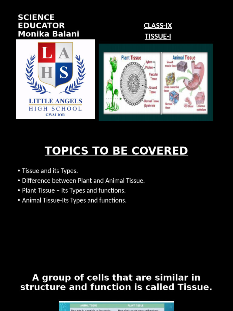 Tissue Part 1 Ppt | PDF