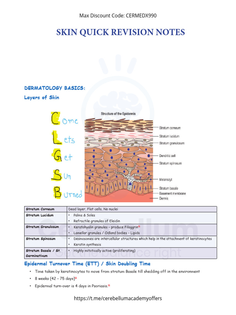 Dermatology | PDF | Epidermis | Skin