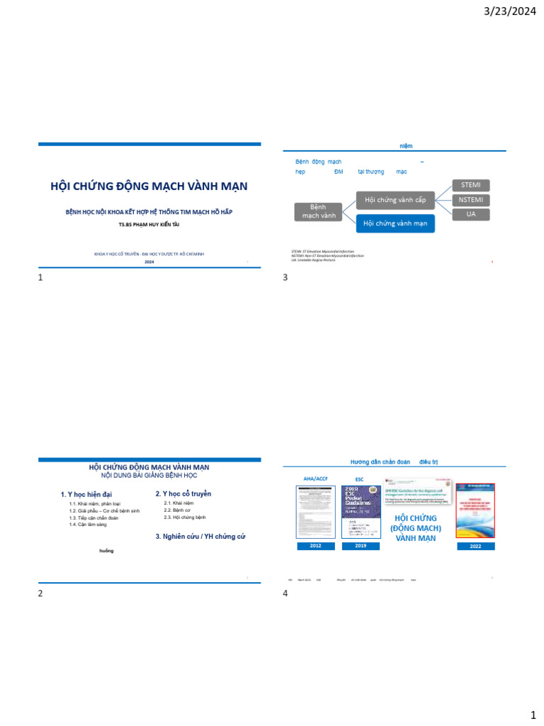 (BG) TMHH Bệnh Mạch Vành 2024 | PDF