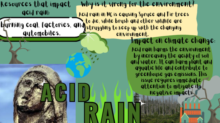 Human Impacts Project | PDF