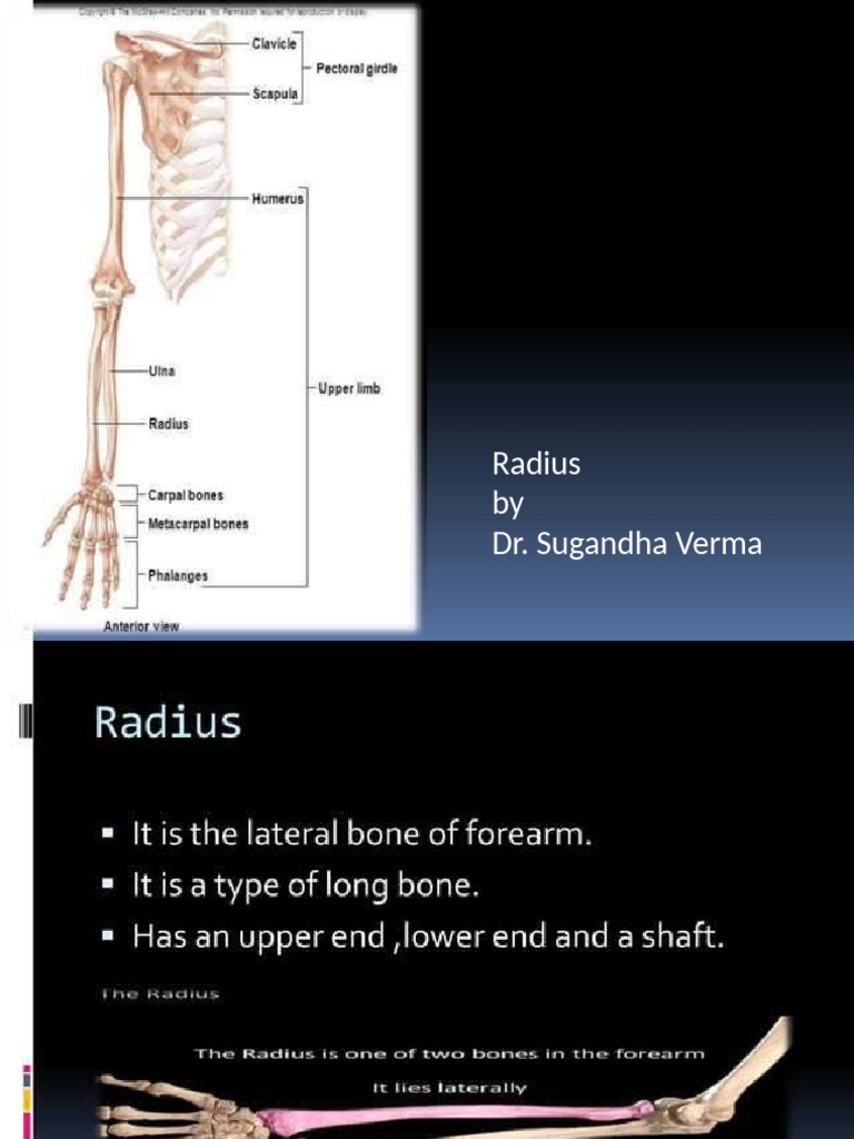 Radius | PDF