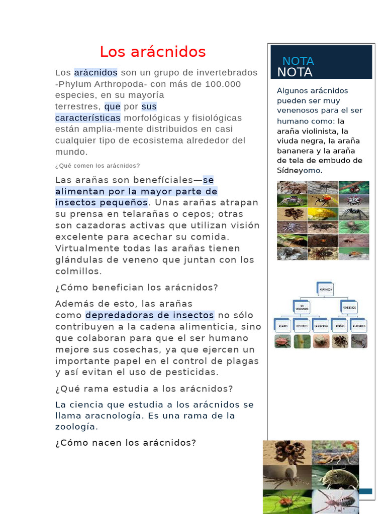 Los Arácnidos | PDF