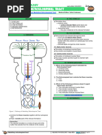 Burns Lecture Powerpoint | PDF | Burn | Clinical Medicine