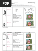 Mouse Party 2024 | PDF