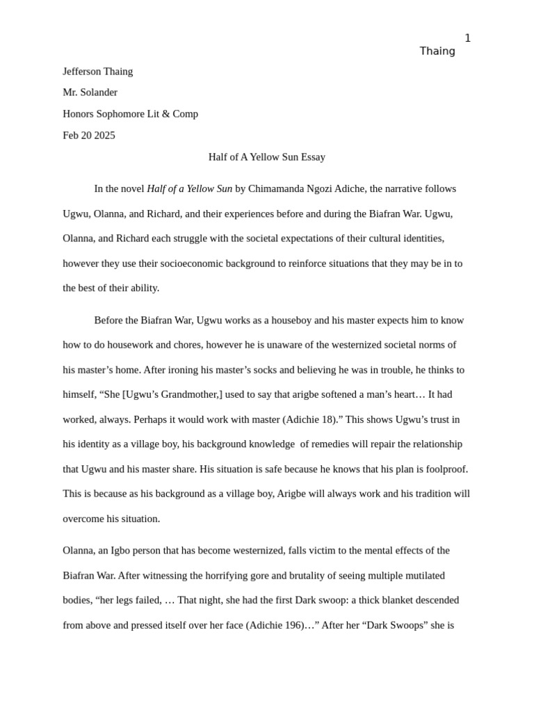 Half of A Yellow Sun Essay | PDF