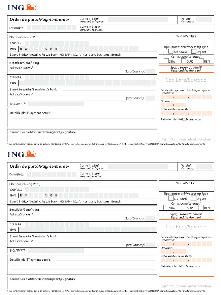 Ordin Plata ING Neocities | PDF