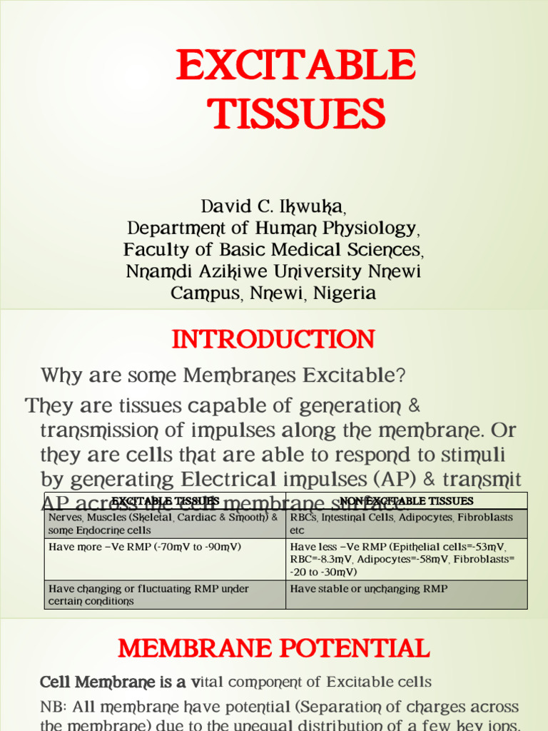 Excitable Tissues - Ikwuka D.C | PDF | Muscle Contraction | Neuron