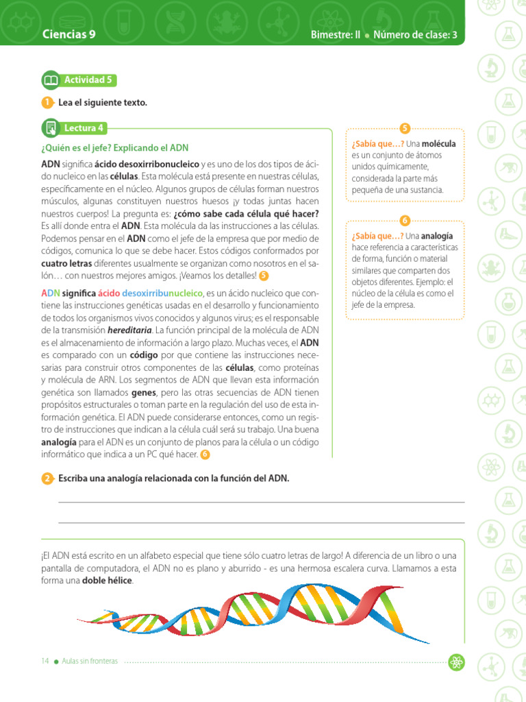 Replicación Del ADN y Síntesis de Proteínas 9° | PDF | Rna | Adn