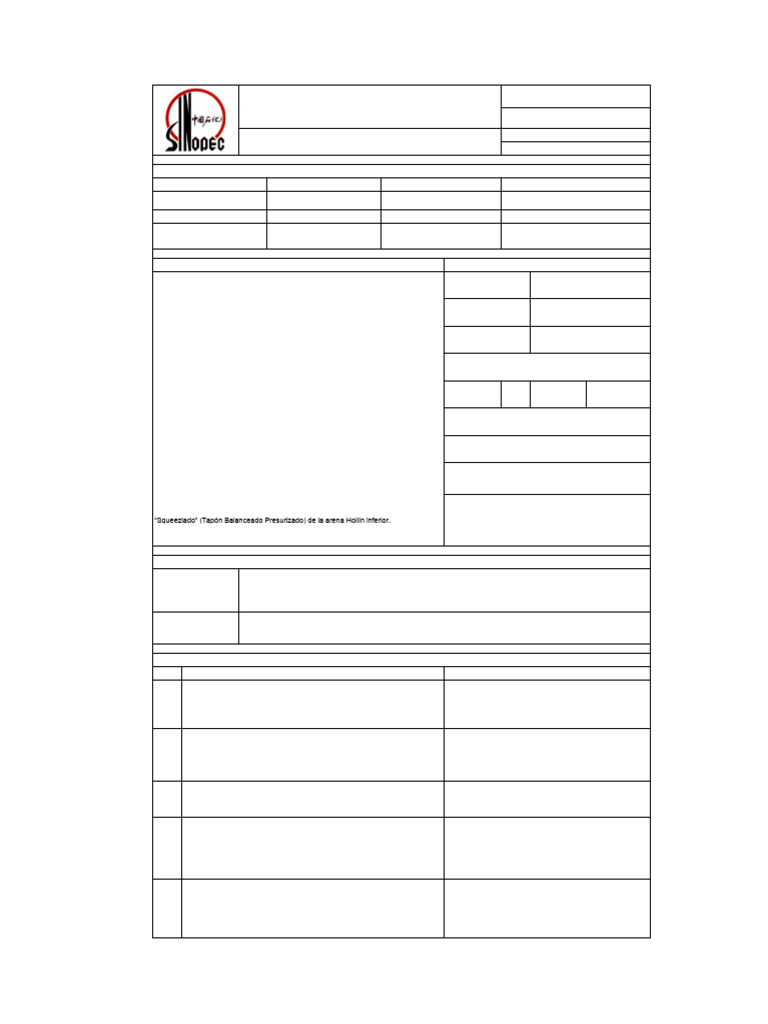 ACR PACKERS STP | PDF