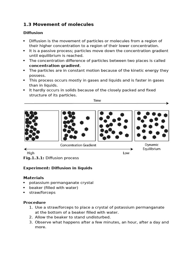 1.3 Movement of Molecules | PDF | Osmosis | Diffusion