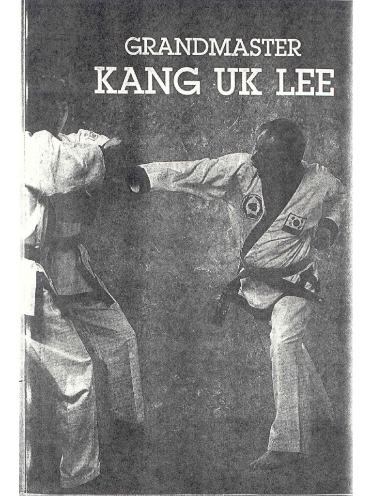 Fighters Aug 1993 | PDF