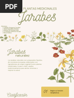 Athos Jarabe 9904 | PDF | Salud y bienestar