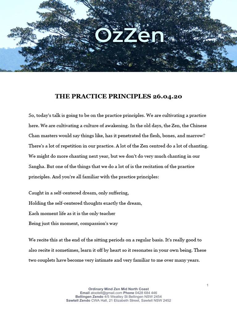 Zen Practice Principles Explained | PDF | Four Noble Truths | Buddhist ...