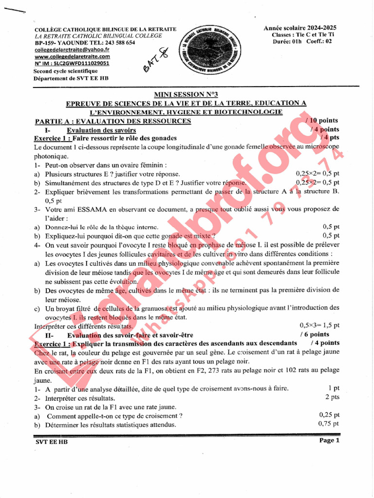 SVTEEHB TleCTI Mini Session3 College Retraite 2024 2025 | PDF