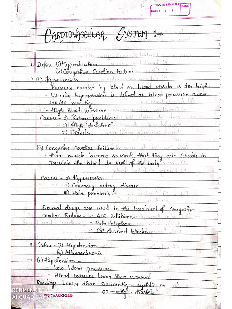 HAP 1 (2marks) Part 2 | PDF