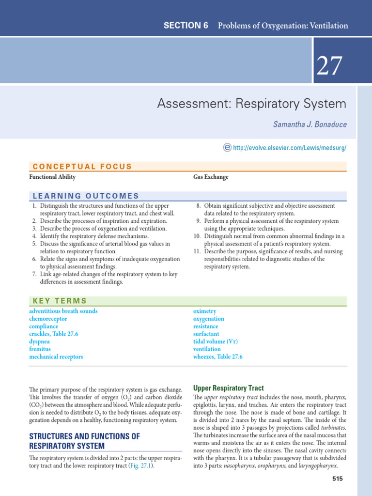 Lewis Respiratory | PDF | Lung | Respiratory Tract