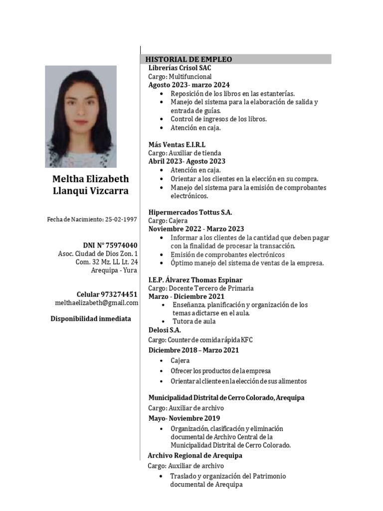 CV Meltha Elizabeth Llanqui Vizcarra | PDF