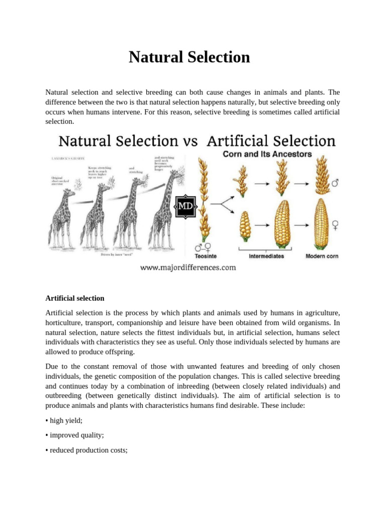 Grade 12 LP Artificial and Genetic Engineering | PDF | Genetic ...