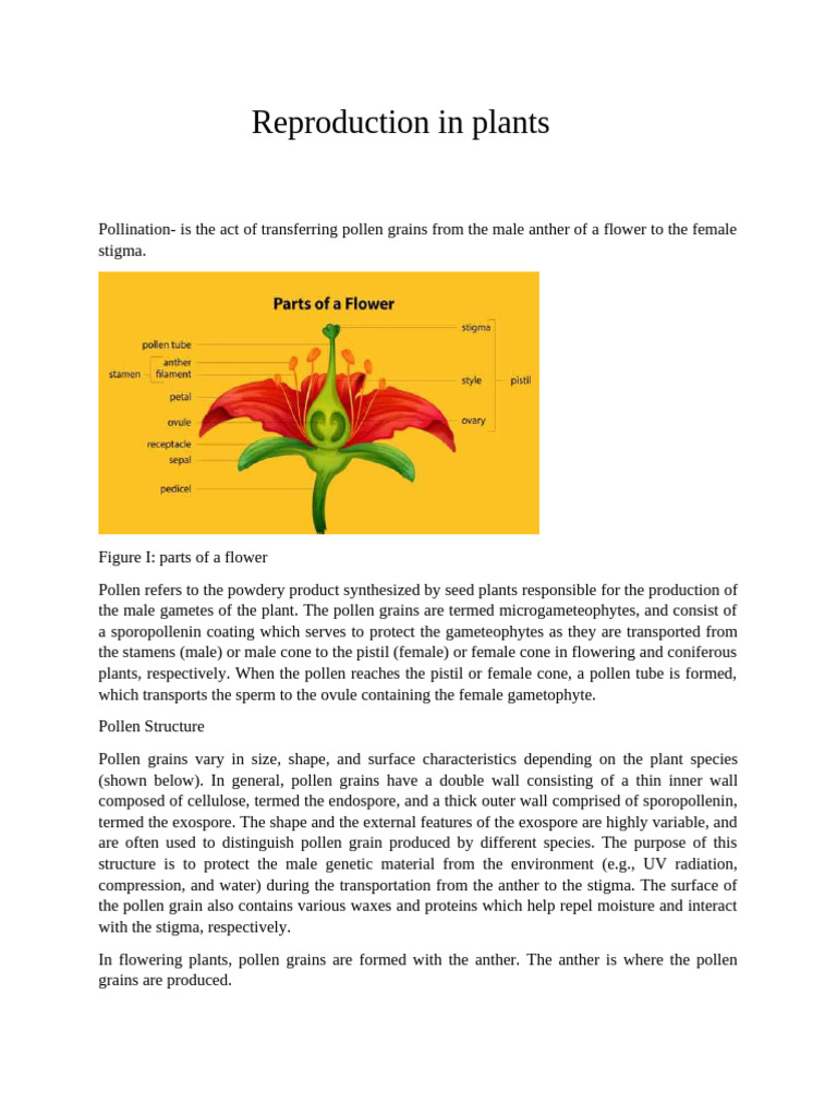 Plant Reproduction: Pollination Explained | PDF | Flowers | Pollination