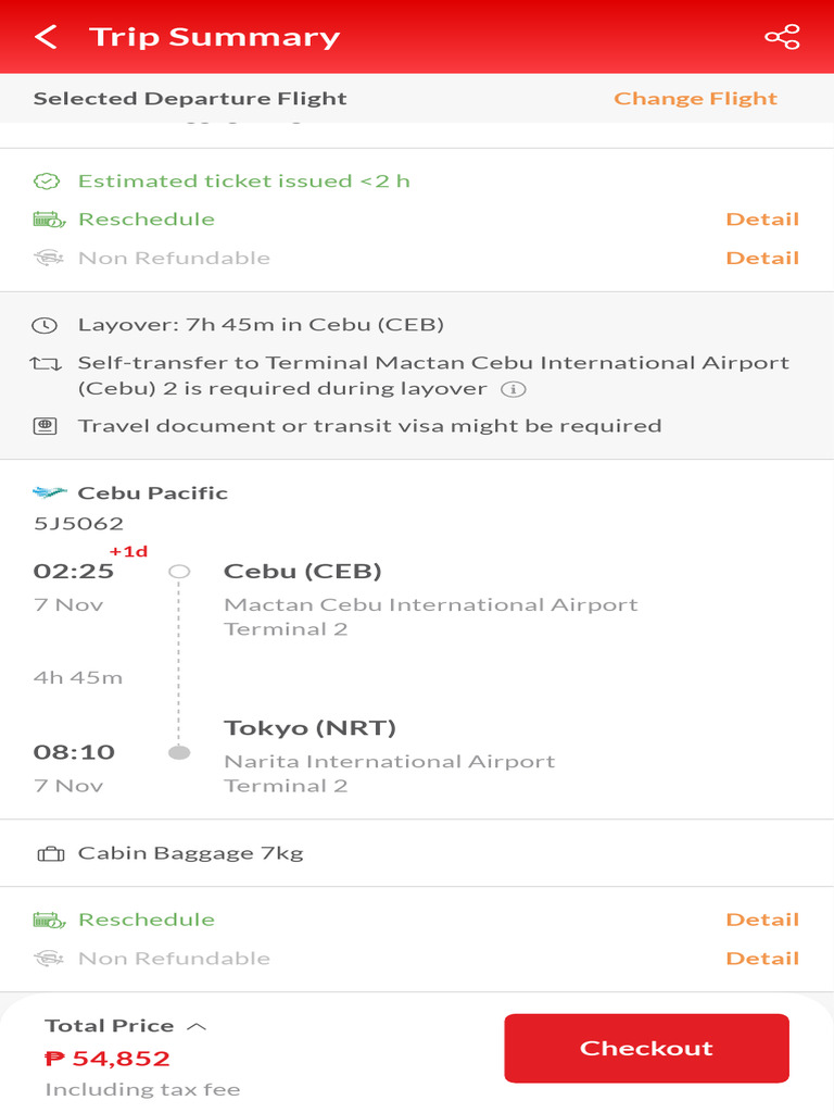 Flight Confirmation - Airpaz | PDF