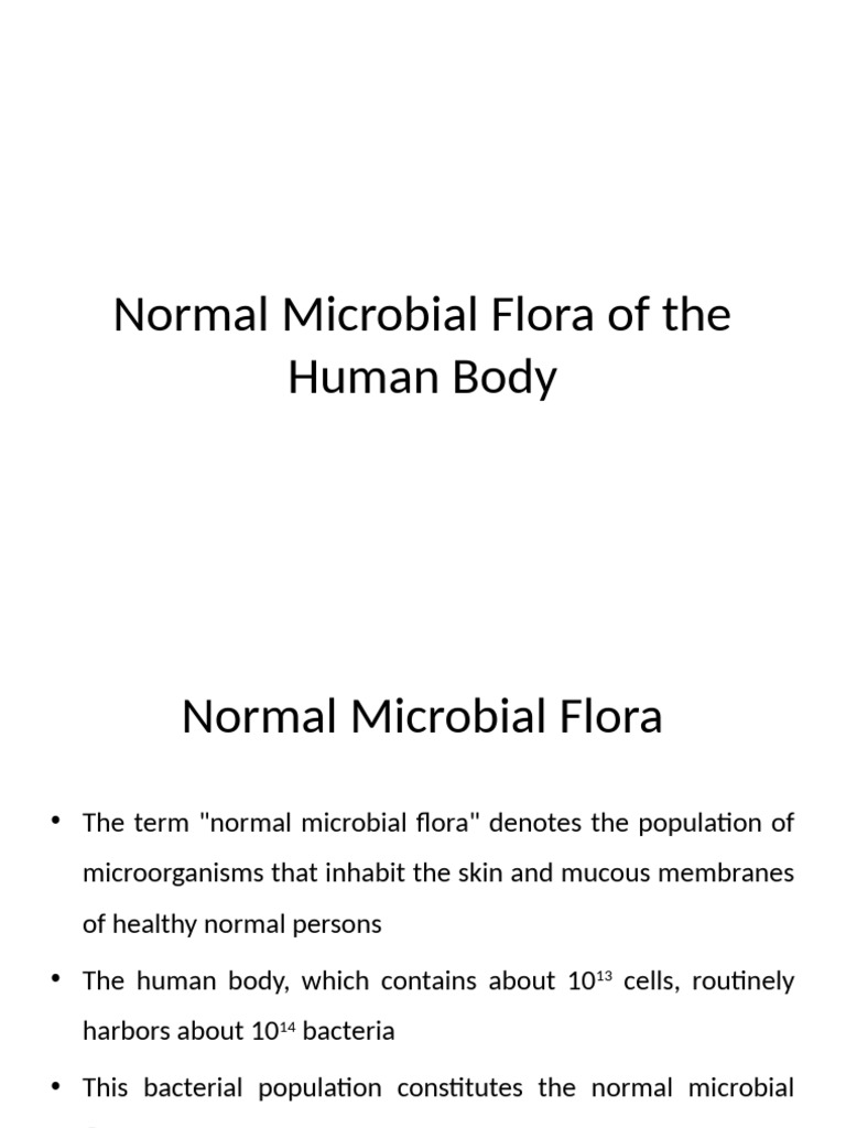 5_Normal Microbial Flora of the Human Body | PDF | Hospital Acquired ...