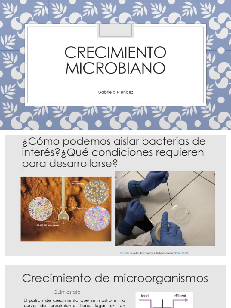 Crecimiento Microbiano - 3 Crecimiento y Medios de Cultivoc | PDF | Las bacterias | Biología