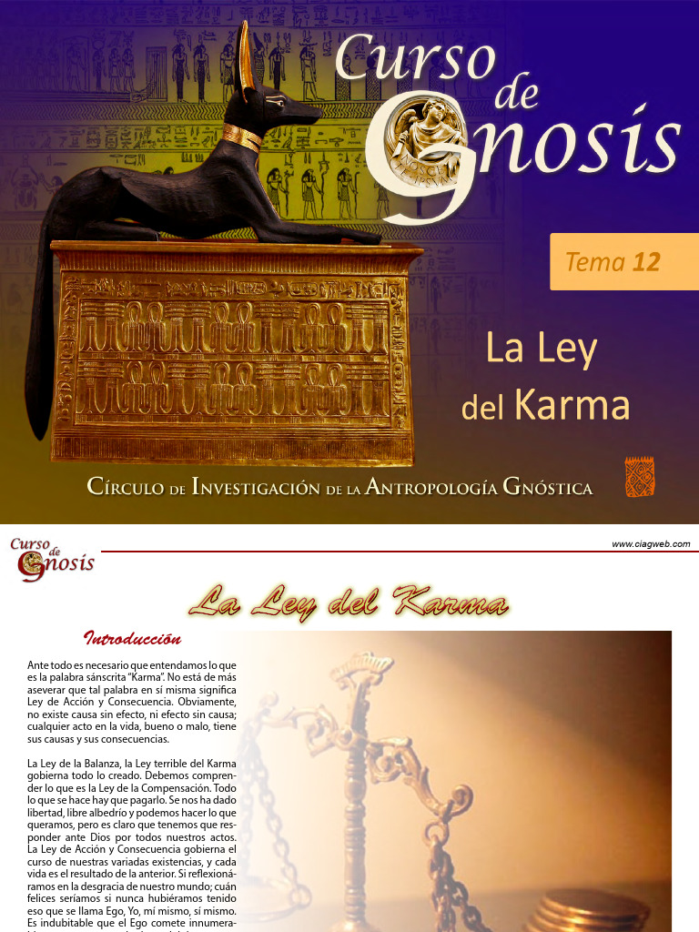 12 La Ley Del Karma | PDF | Karma | Amor