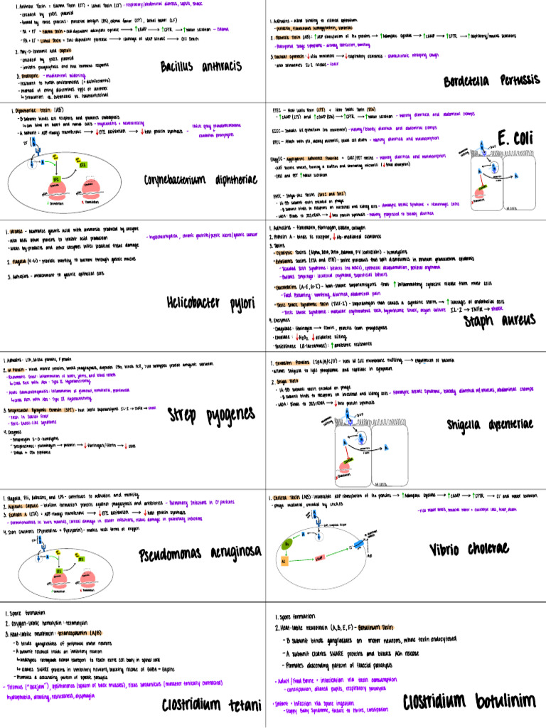 Micro Master Chart | PDF | Microbiology | Biochemistry