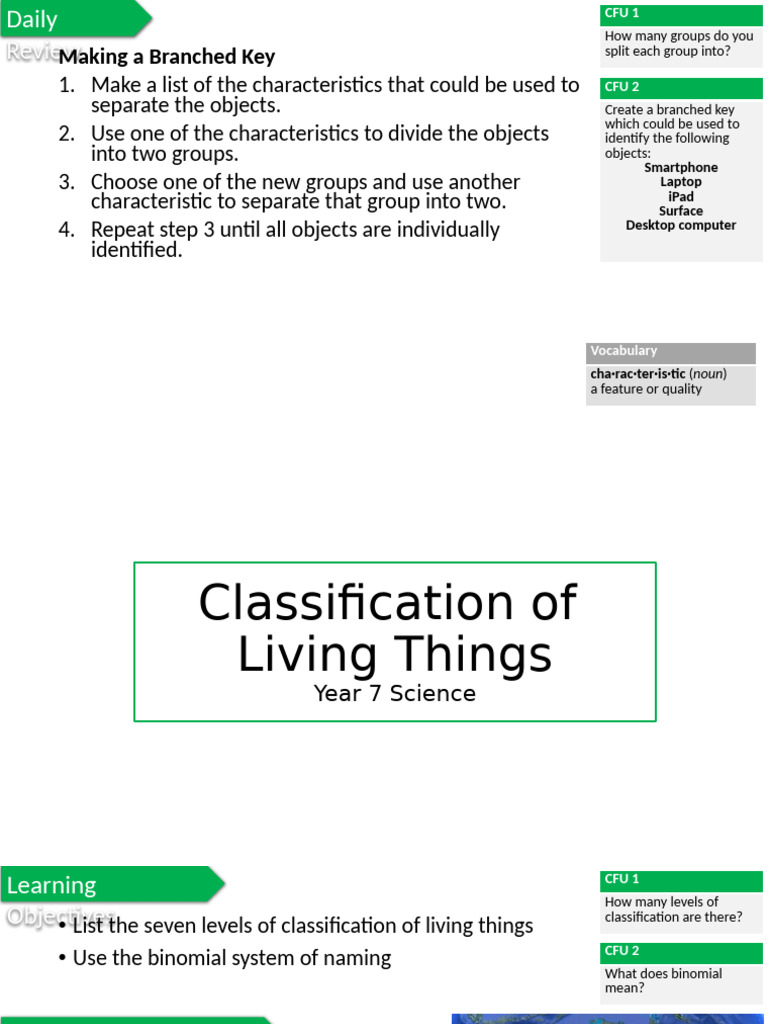 Making A Branched Key: How Many Groups Do You Split Each Group Into ...