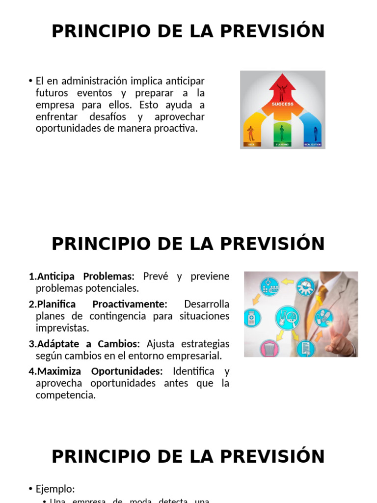 Principio de La Previsión | PDF