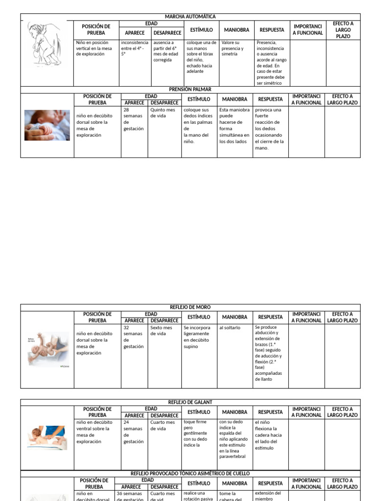 REFLEJOS Primitivos | PDF | Pie