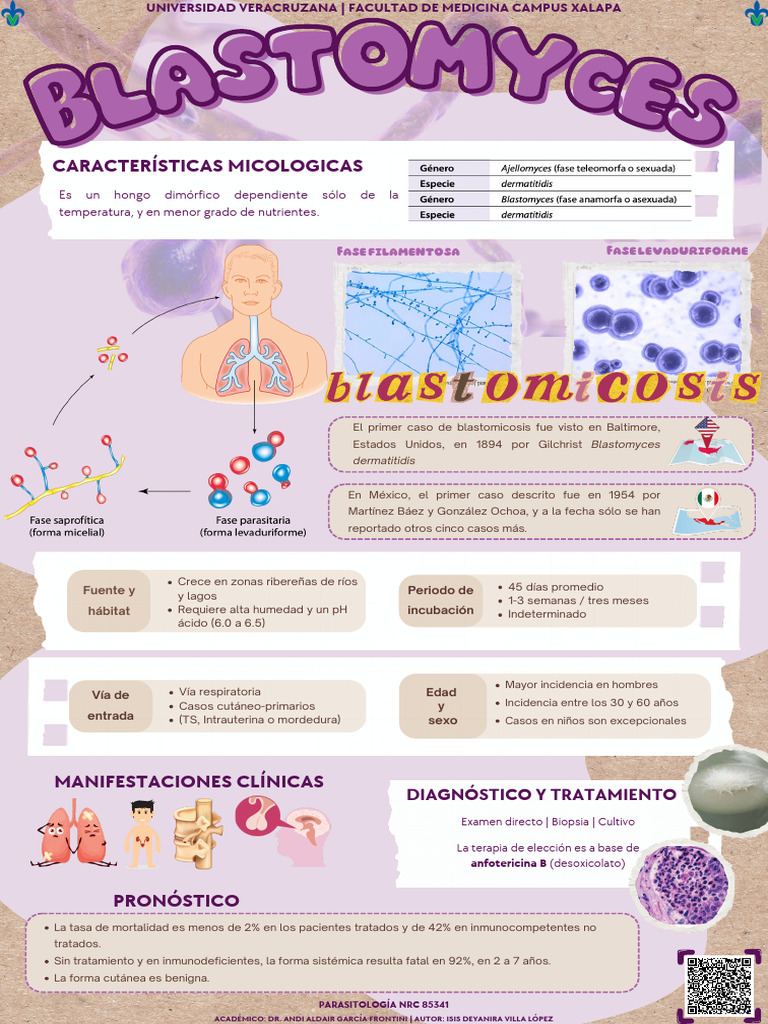 Infografía Blastomyces | PDF | Enfermedades y trastornos humanos ...