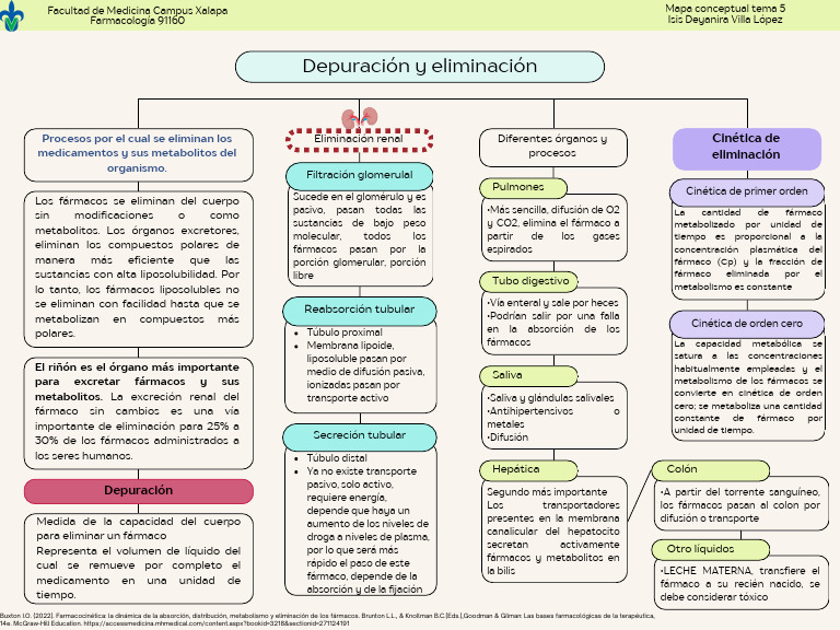 Mapa Conceptual Tema 5 - Villa Isis | PDF | Química medicinal | Farmacología