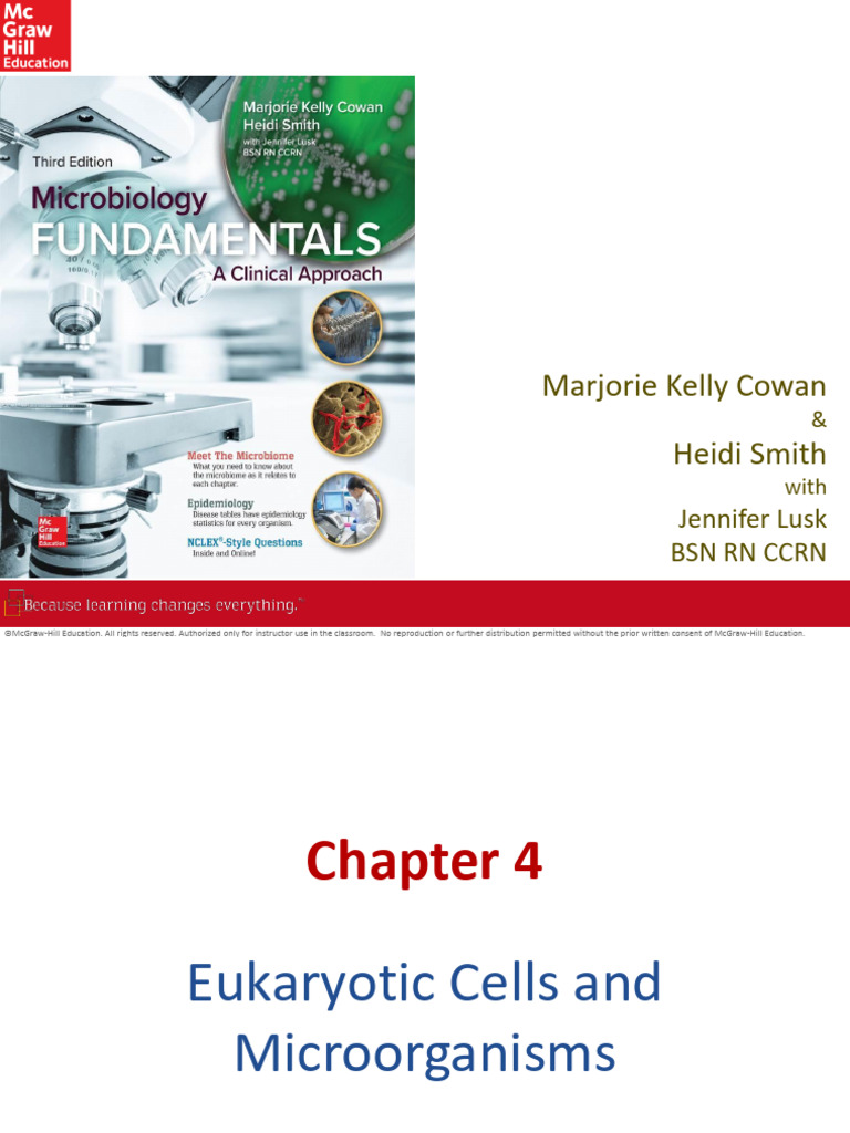 CH04-05-06 Lecture | PDF | Cell (Biology) | Endoplasmic Reticulum