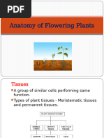 EXERCISE 9 and 10 Botany Lab | PDF | Plant Stem | Leaf