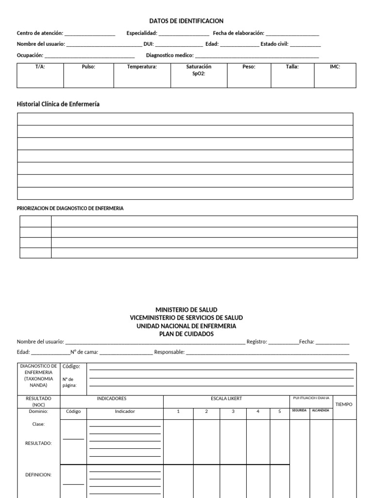 PAE Ejemplo | PDF | Enfermería | Medicina CLINICA