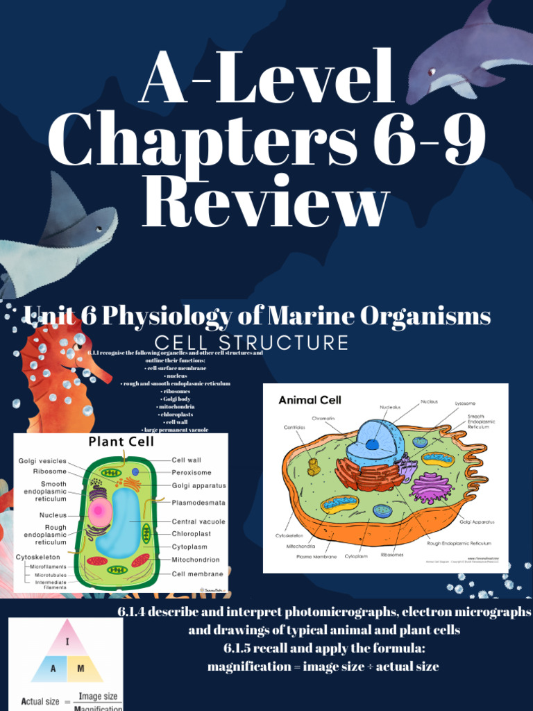 AICE Marine a Level- Draft | PDF | Photosynthesis | Cellular Respiration