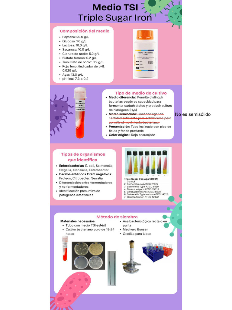 G3 TSI Cit SIM Urea | PDF