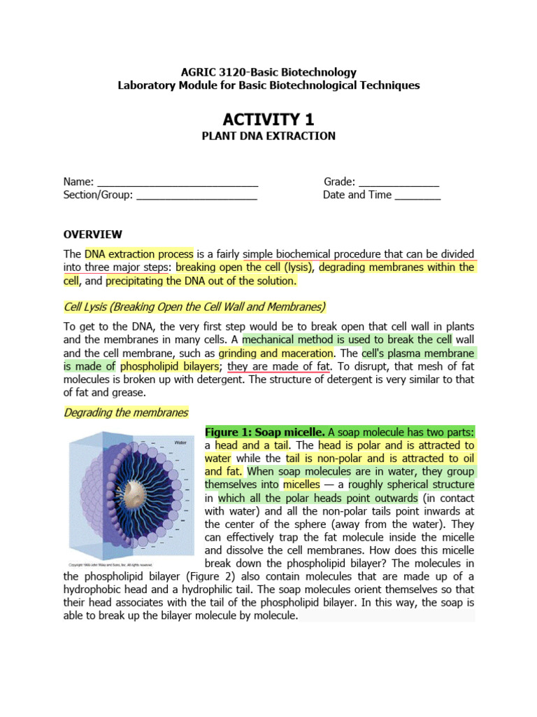 AGRIC 3120 LAB - Laboratory Exercise 1. Plant DNA Extraction | PDF ...
