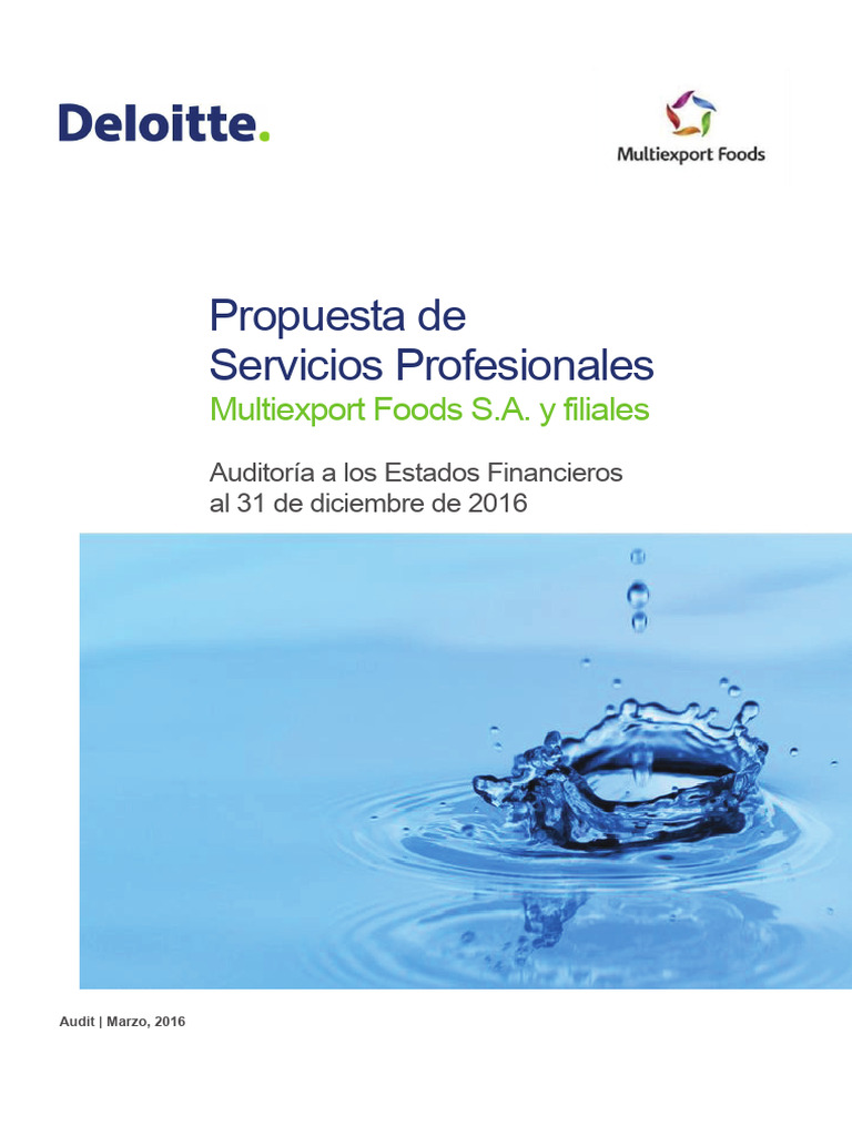 Ppta Auditoria2016 Deloitte v.3 | PDF | Auditoría | Contabilidad