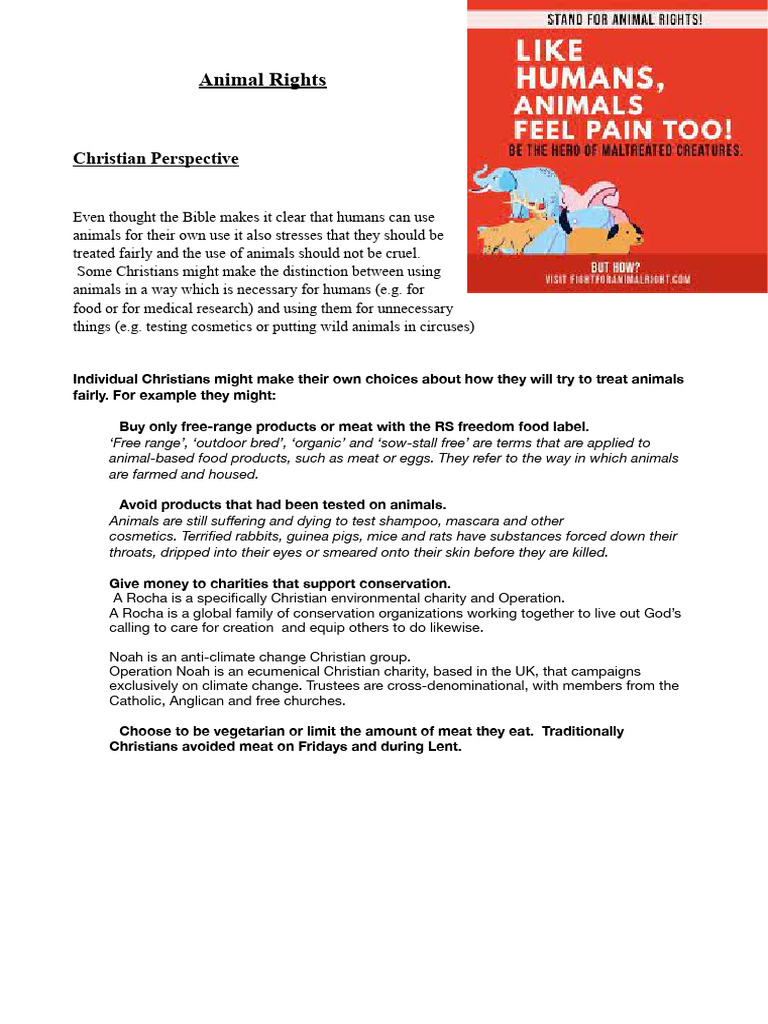 Animal Rights - Tute Unit 1 (Part 3) | PDF | Noble Eightfold Path | God ...