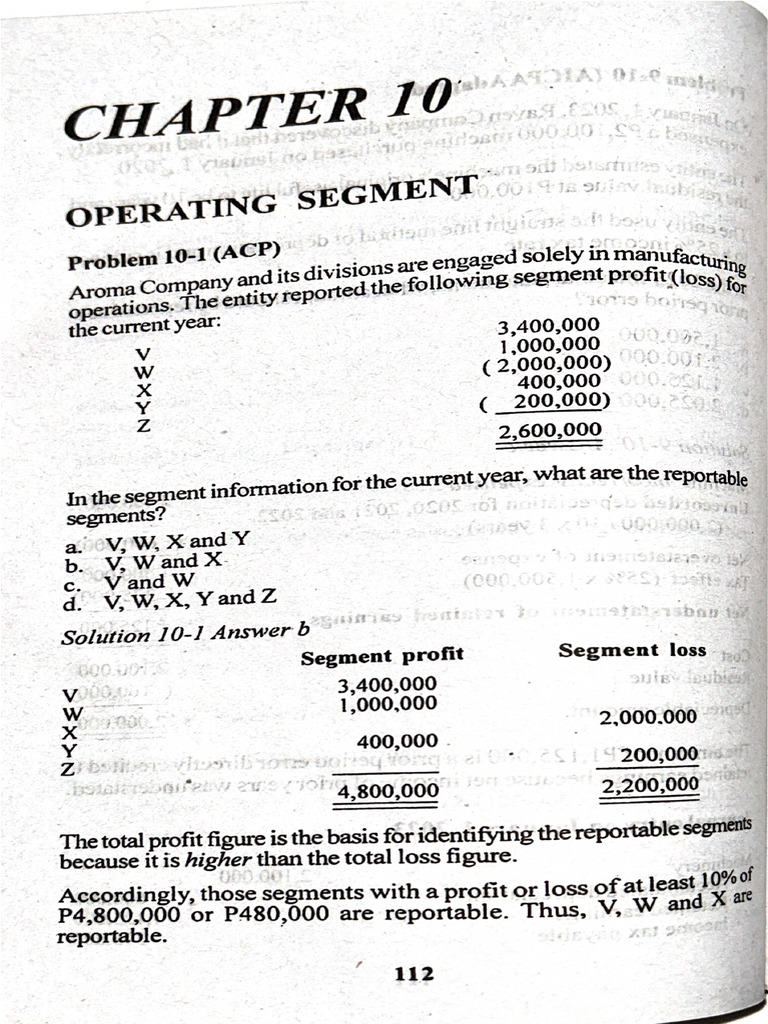 Operating Segment | PDF