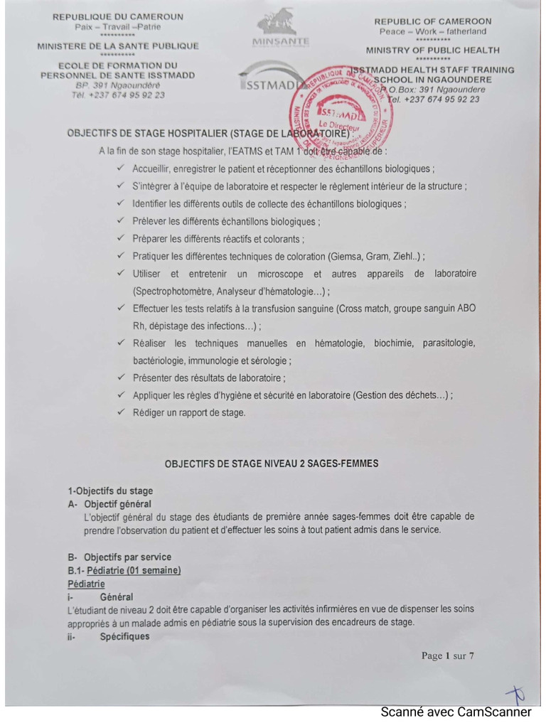 Objectifs de Stage Hospitalier IDE - TAM - SF - ASG - ATMS | PDF