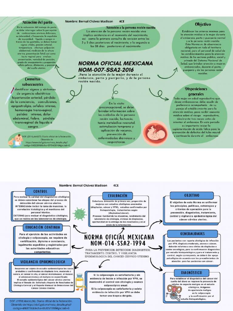 NORMA Oficial Mexicana NOM-007-SSA2-2016, para La Atención de La Mujer ...